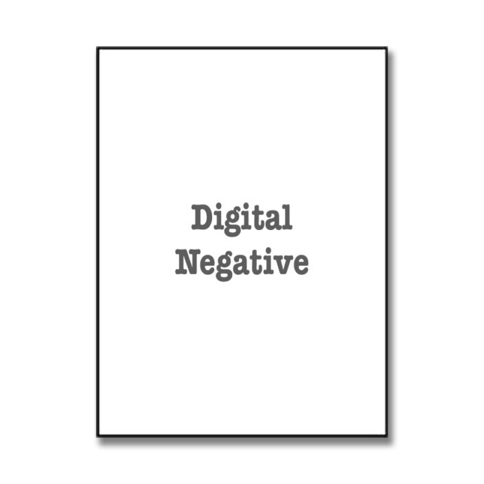 Digital Negative - Print Art Fine Art Imaging